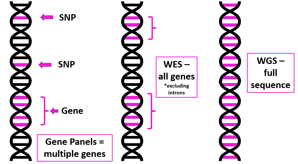 Taking and sequencing a genomic sample | Medicines Learning Portal